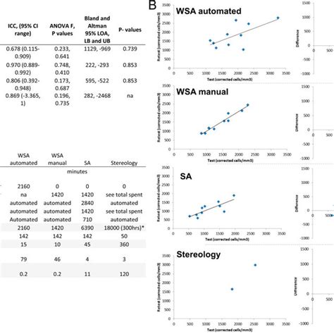 Quantification Of Neun Immunopositive Neurons In The White Matter A Download Scientific