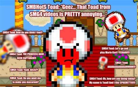Smbhots Toad Meets Smg4 Toad By Heiseigoji91 On Deviantart