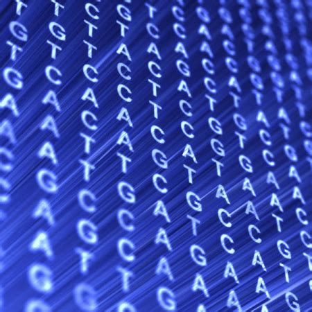 What Is Bioinformatics Genomics Education Programme