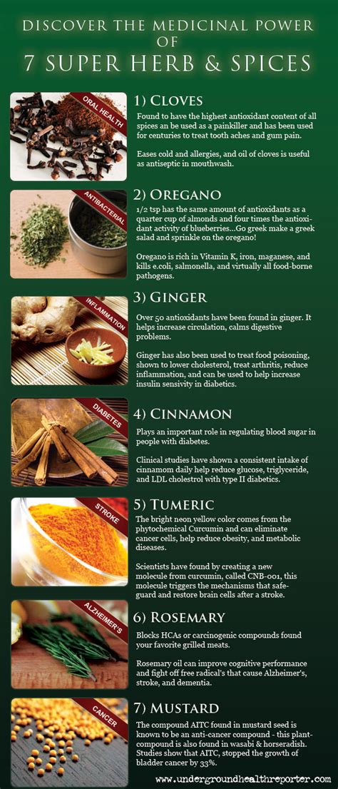 Supercharge Your Health With Seven Medicinal Herbs And Spicesunderground