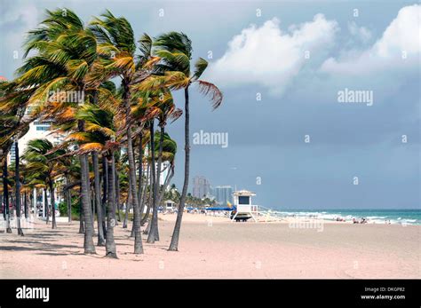 Fort Lauderdale Beach At Las Olas Boulevard Looking North Towards