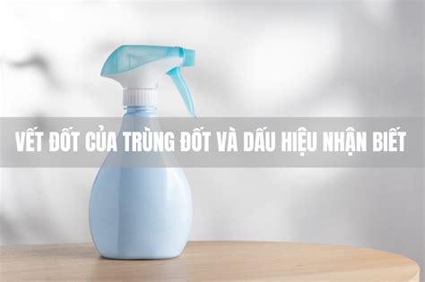 Vết đốt Của Côn Trùng Và Dấu Hiệu Nhận Biết