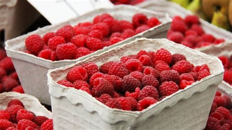 樹梅派 Raspberry Pi 安裝 Nginx 與 Php 網頁伺服器（php Fpm） 第 2 頁 G T Wang