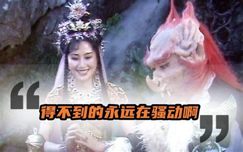 赛太岁是老好人？千万不要被带偏了！ Dae 浮沫 Dae 浮沫 哔哩哔哩视频