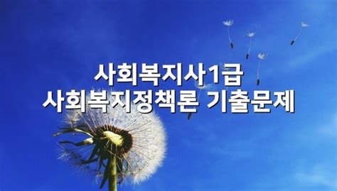 사회복지사1급 사회복지정책론 기출문제8월 6일 네이버 블로그