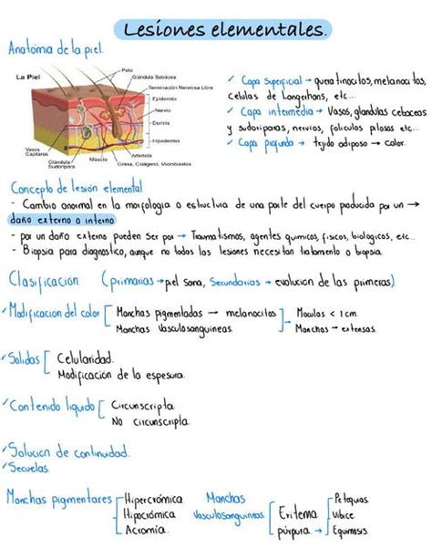 Lesiones Elementales Ritmo Medico UDocz