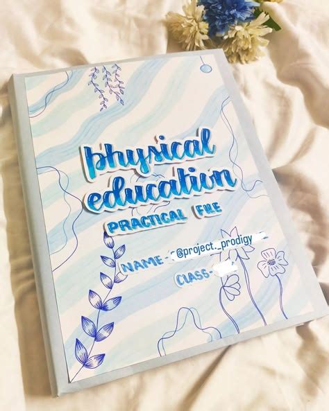 Class 12 Project File Ideas