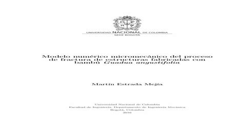Modelo numérico micromecánico del proceso de fractura de estructuras …nEstradaMejía... · 2017-02 ...