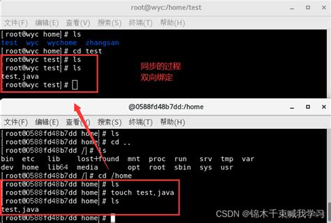 docker postgres容器持久化 docker 数据持久化 epeppanda的技术博客 51cto博客