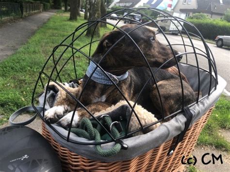 4 F105 Aba Bc74 4 B73 9 F44 Fcac963 A34 F9 Hosted At Imgbb — Imgbb