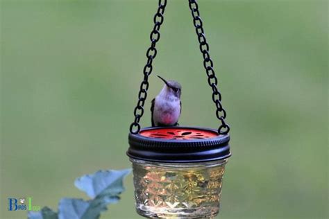 Diy Hummingbird Feeder Parts Step By Step Guide Birds Idea