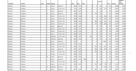 Lista funcțiilor din CSEI Roman aferente personalului plătit din