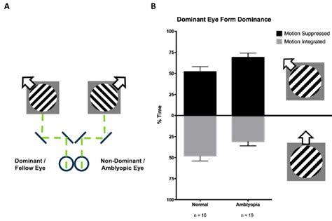 for initial submission) Figure 1. (A) Dichoptic presentation of plaid... | Download Scientific ...