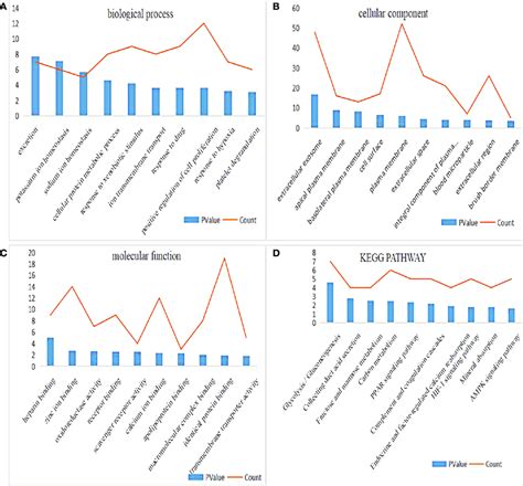 Go And Kegg Pathway Enrichment Analysis Of Degs A The Biological