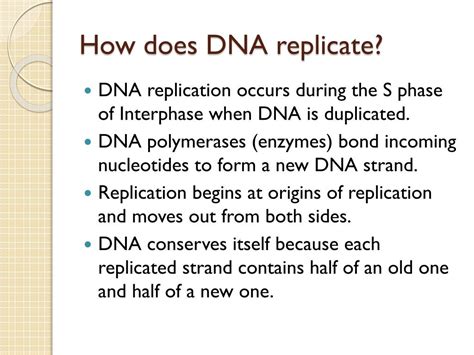 PPT DNA PowerPoint Presentation Free Download ID