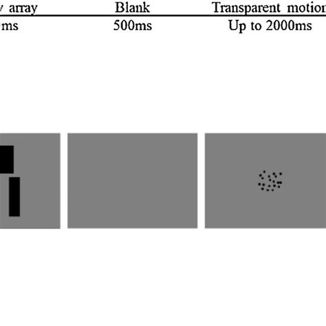 Schematic Illustration Of Memory Arrays Used In Experiment 4