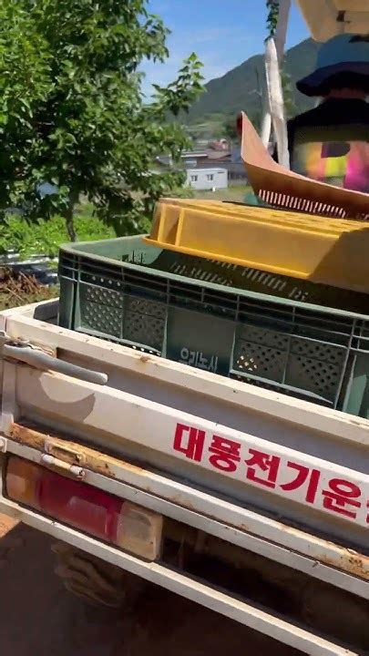 작은차 큰기쁨 곡성 보조사업기종 농업용 전기운반차 Youtube