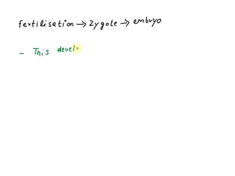 Solved 14 Following Fertilization A Zygote Divides And Soon Becomes