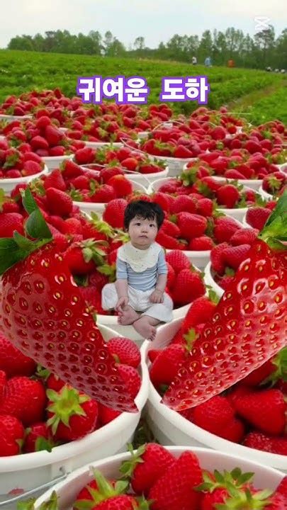 사랑하는 아들 Youtube