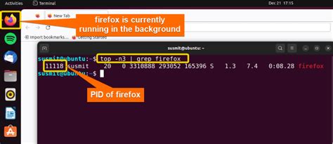 The Kill Command In Linux Practical Examples