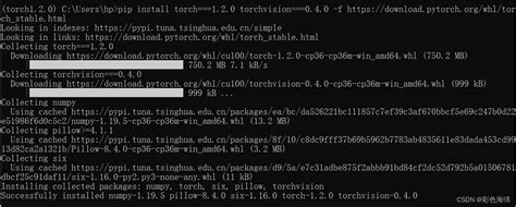 pytorch1 2 0 python3 6 pytorch 1 2 0 csdn博客