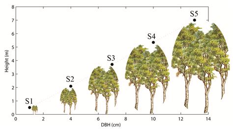 Remote Sensing Free Full Text The Effect Of Topography On Target Decomposition Of
