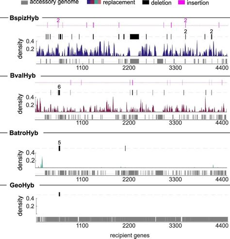 Genomic Variations In Transformation Hybrids Depend On The Sequence
