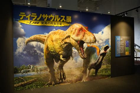 【福岡イベント】19㊗まで開催中！特別展「ティラノサウルス展～t Rex 驚異の肉食恐竜～」へ潜入してきた秊 ふくおかナビ