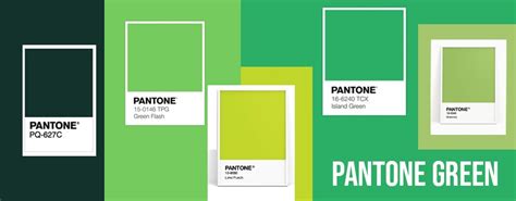 Bright Green Pantone Color Swatch Sticker By Softlycarol