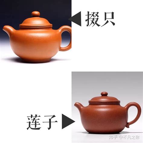 美人识壶掇只掇球容天莲子潘壶仿古你分得清吗 知乎