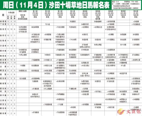 周日（11月4日）沙田十場草地日馬報名表 香港文匯報