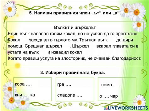 Съществителни и… Free Interactive Worksheets 718783