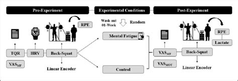 Experimental Setup Tqr ¼ Total Quality Recovery Hrv ¼ Heart Rate