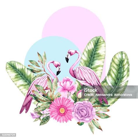 フラミンゴバナナの葉花を持つ熱帯の幾何学的構成 やしの葉のベクターアート素材や画像を多数ご用意 やしの葉 イラストレーション