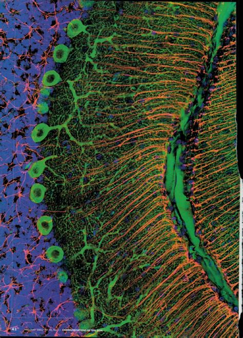 Pdf Transport Protocols For High Performance