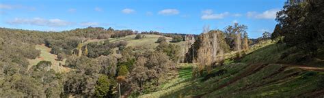 Wungong Creek Hills Loop 23 Reviews Map Western Australia