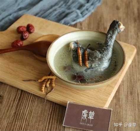 虫草炖乌鸡，越喝越年轻 知乎