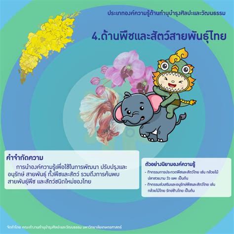 ศิลปะและวัฒนธรรม Ku Sports Art And Culture Division