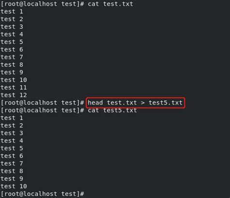 Linux Linux Csdn
