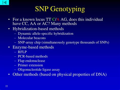 PPT Single Nucleotide Polymorphism Copy Number Variations And SNP Array PowerPoint