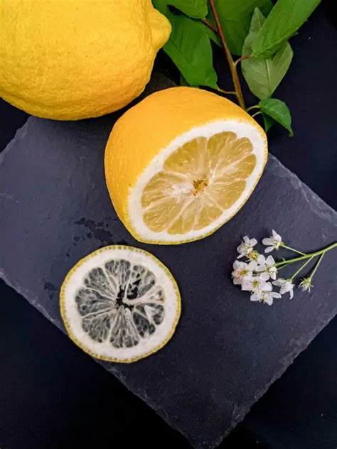 Vitamin C Backdrop Picture Elegant Slices Layout Photos In Format