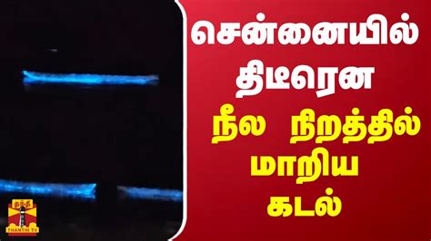 சென்னையில் திடீரென நீல நிறத்தில் மாறிய கடல் Chennai Beach Youtube