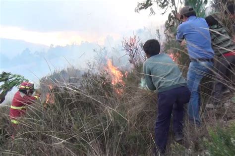 Extinguen Incendios Forestales En Regiones Amazonas Y Tumbes