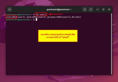 How To Find UID Of A User In Linux Best Methods