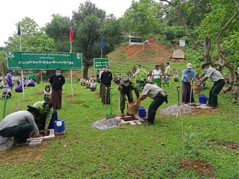 ကျောက်တော်မြို့၌ ၂၀၂၂ ခုနှစ်၊ မိုးရာသီအကြို စုပေါင်းသစ်ပင် စိုက်ပျိုးပ