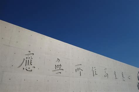 僧伽大學