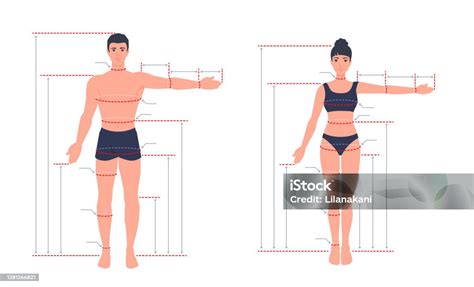 성인 인체 크기 차트 옷을 테일러링하기위한 측정 남자 여자의 측정 한 쪽 팔을 벌리고 전체 길이로 서 있는 사람들 해부학에 대한