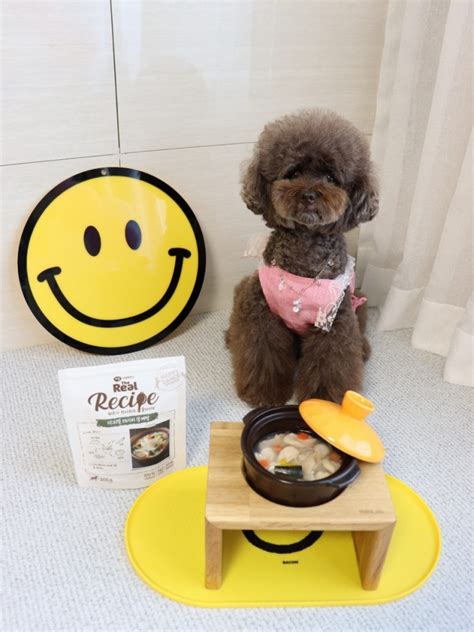 강아지 삼계탕 닭가슴살 복날 영양식 하림펫푸드 네이버펫 네이버 블로그