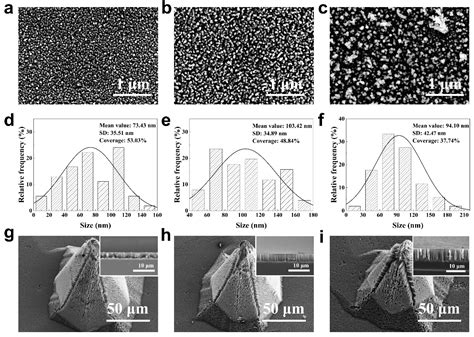 Fabrication Of Black Silicon Microneedle Arrays For High Drug Loading