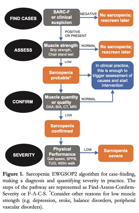 Novo Consenso Europeu De Definição E Diagnóstico Da Sarcopenia Por